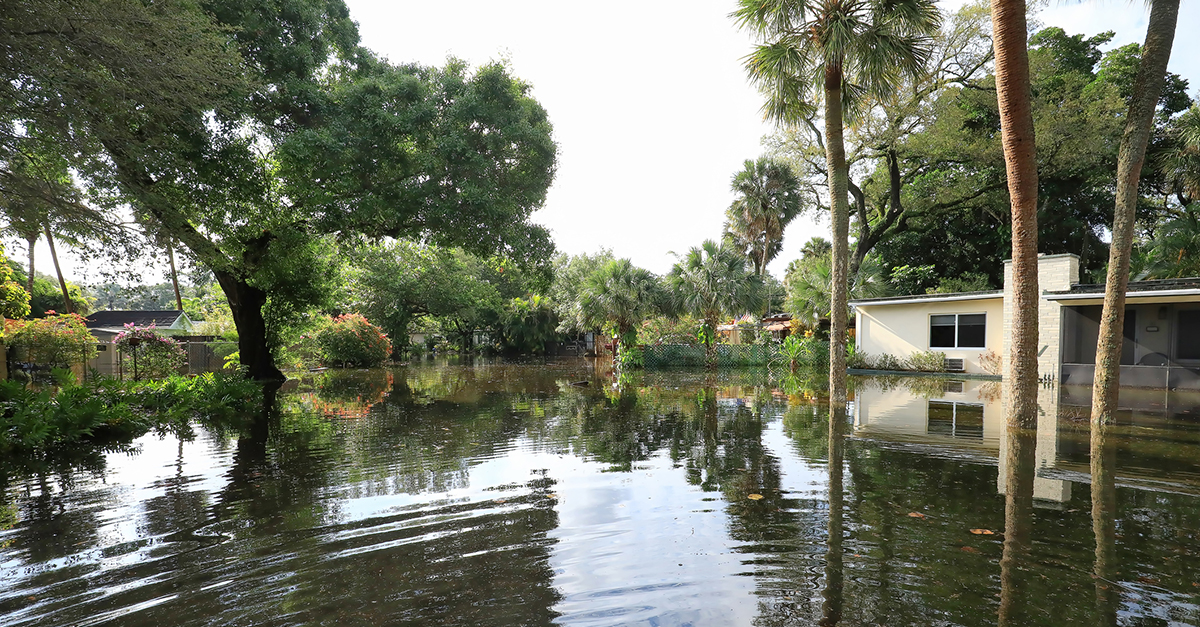 Rising Waters: How to Safeguard Your Home During Flood Season ...